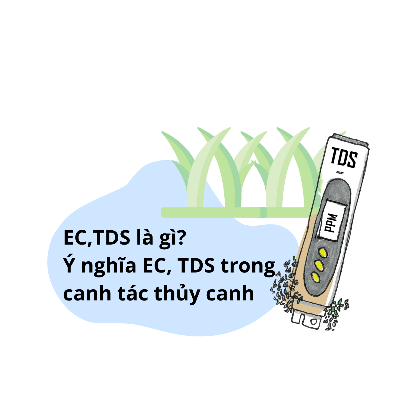 VAI TRÒ CỦA EC, TDS TRONG CANH TÁC THỦY CANH | RedLAB